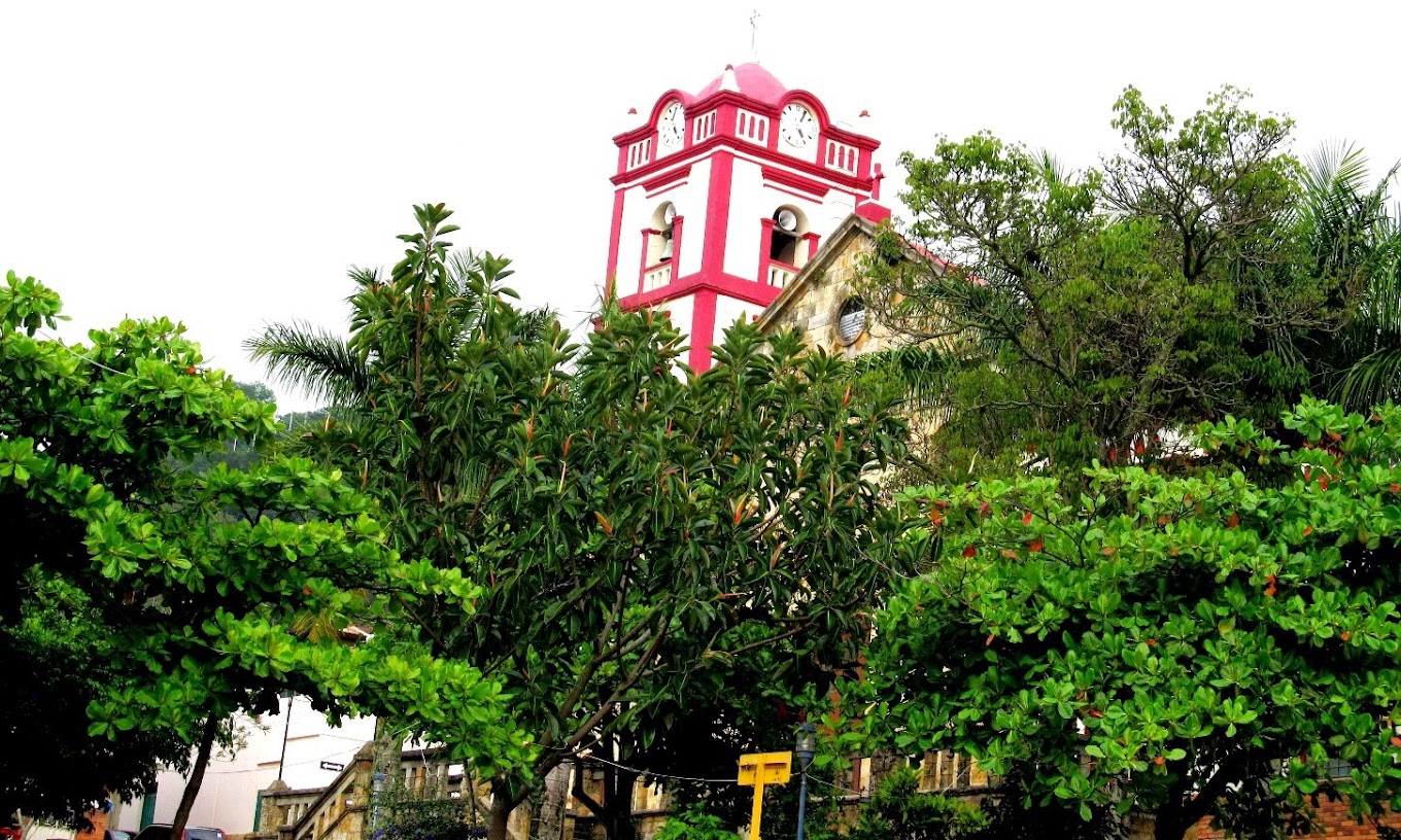 Guayabal de Síquima y su Biodiversidad.: Reino: Animal. Clase: Aves.
