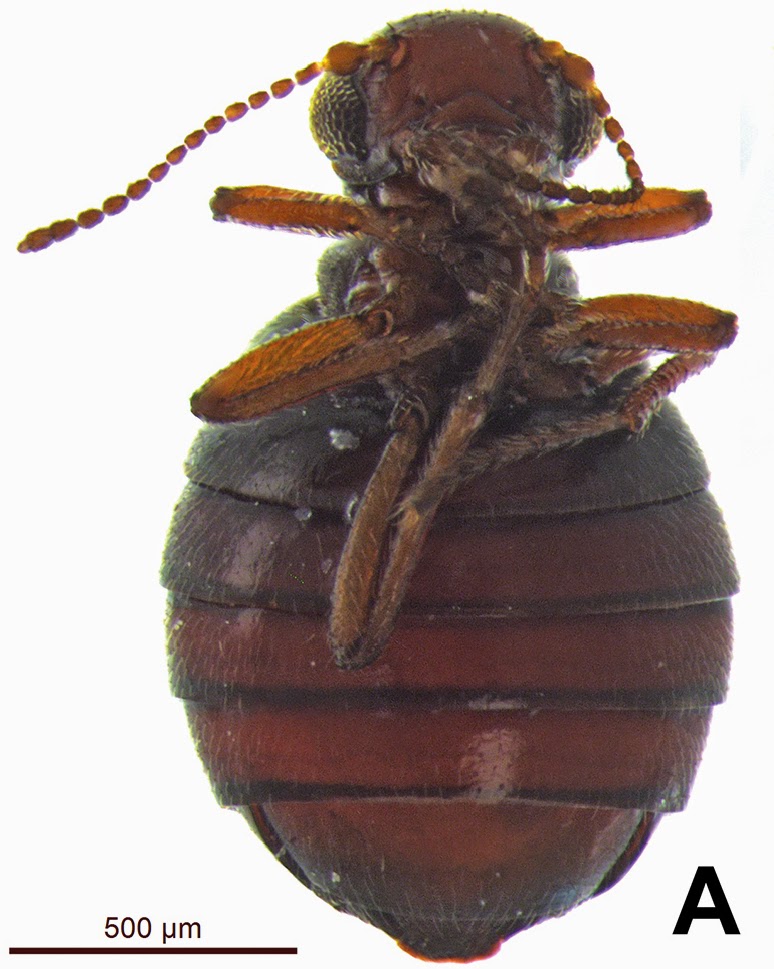 Life, et al.: June 2015