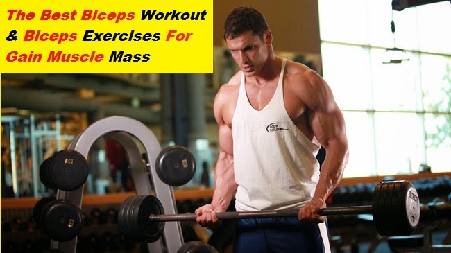 The Best Biceps Workout & Biceps Exercises For Gain Muscle Mass ...