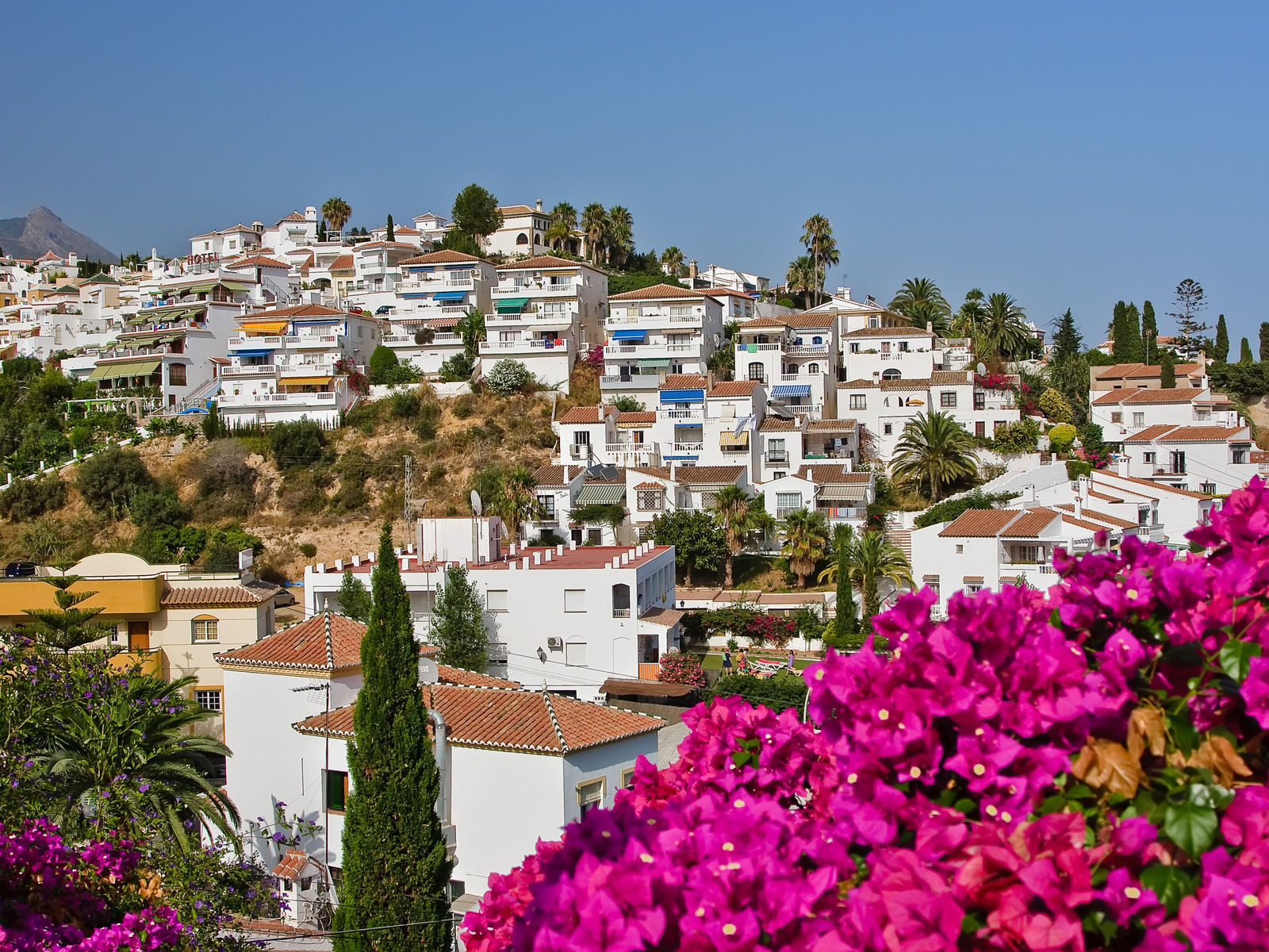 Nerja Spain Houses Flowers Cityscape HD Wallpaper | HD Nature Wallpapers