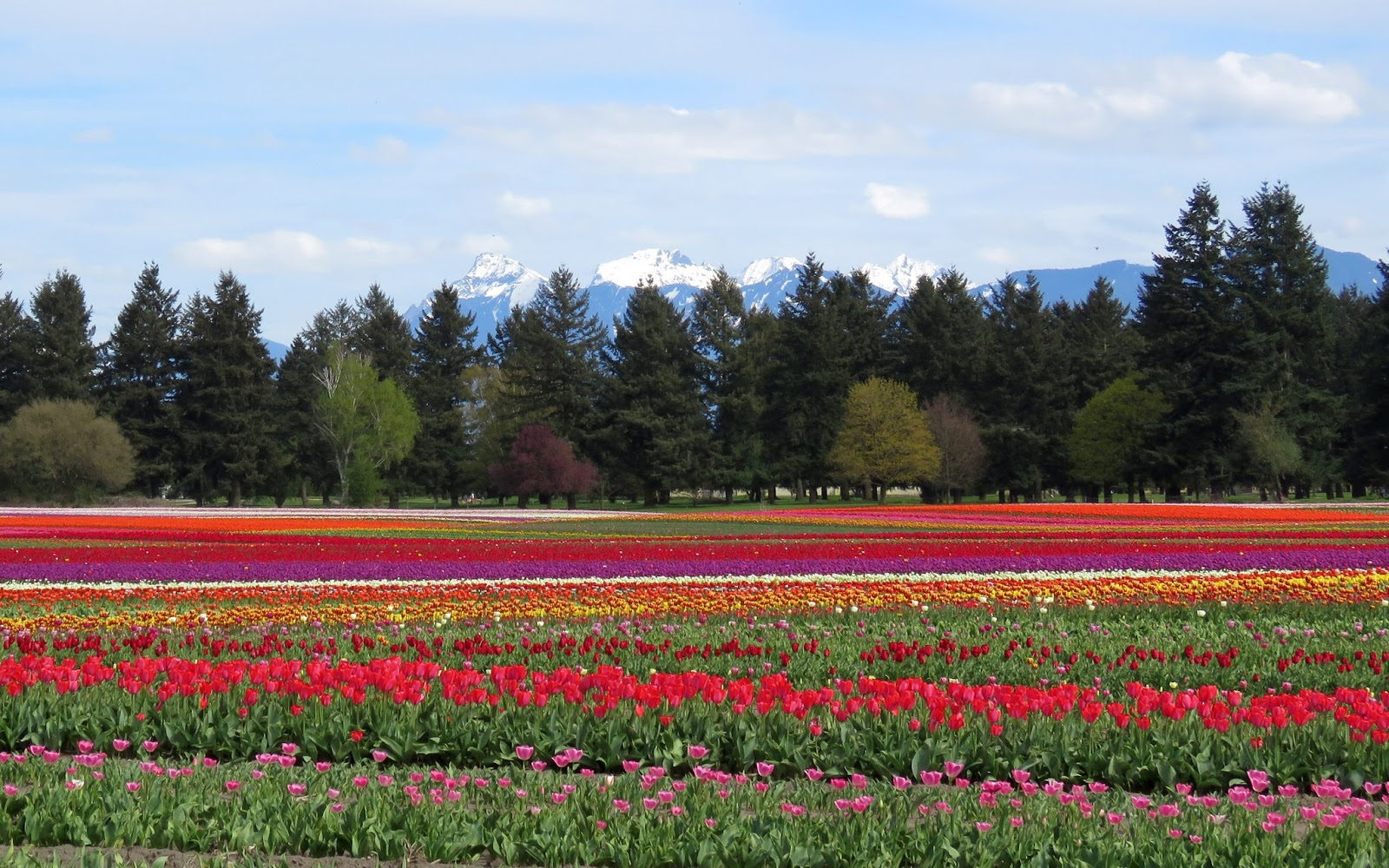 My Front Porch: April ~ moments to remember