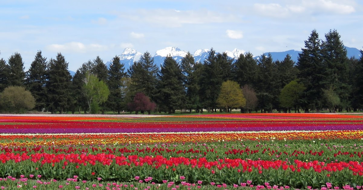 My Front Porch: April ~ moments to remember