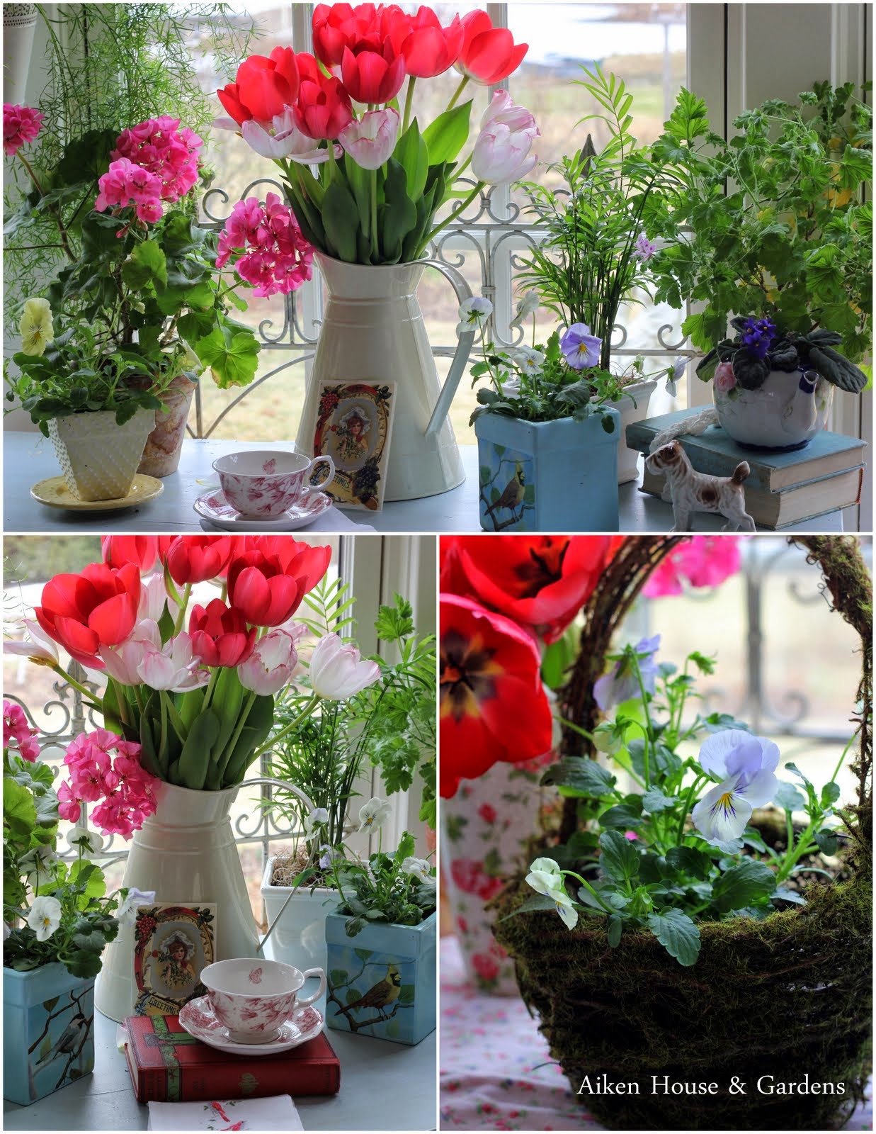 Aiken House & Gardens: Spring Color Inside and Out