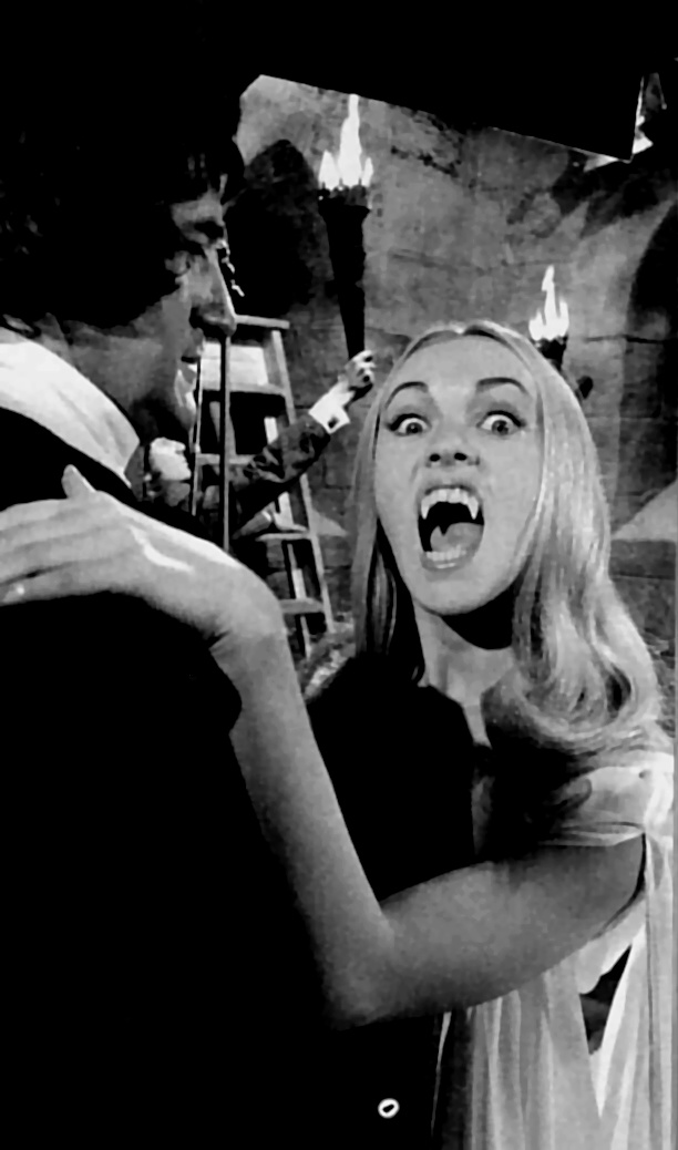 A View from the Beach: Vampire Terrorizes Serbian Village