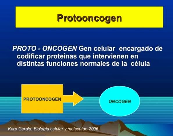 NEOPLASIAS: MECANISMOS DE LOS PROTOONCOGENES, ONCOGENES y GENES SUPRESORES