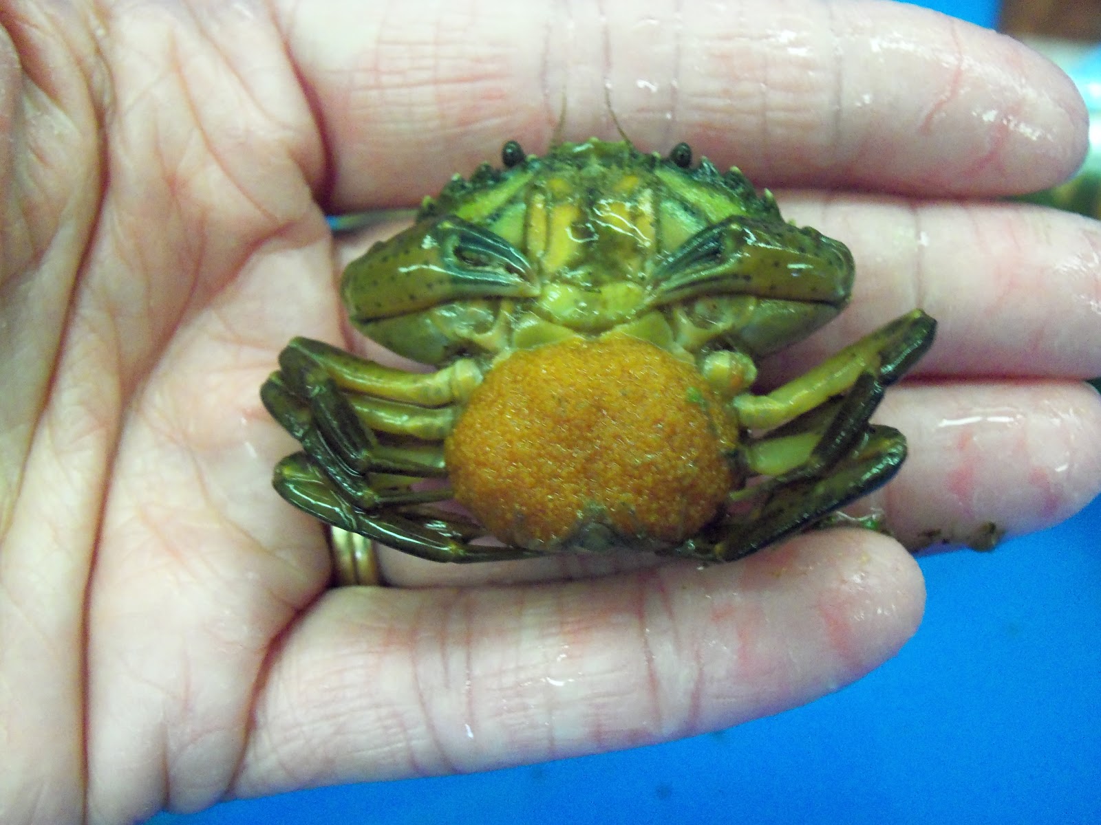 Huntsman Marine Science Centre: M. Gerald Teed Memorial School