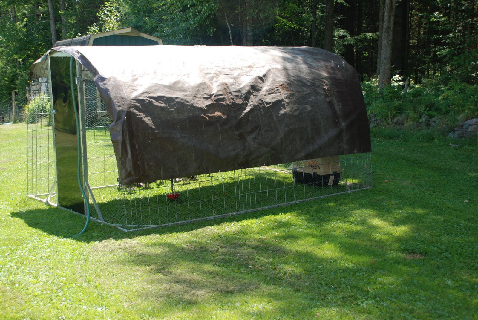 Life in the Goat Lane: Turkey House