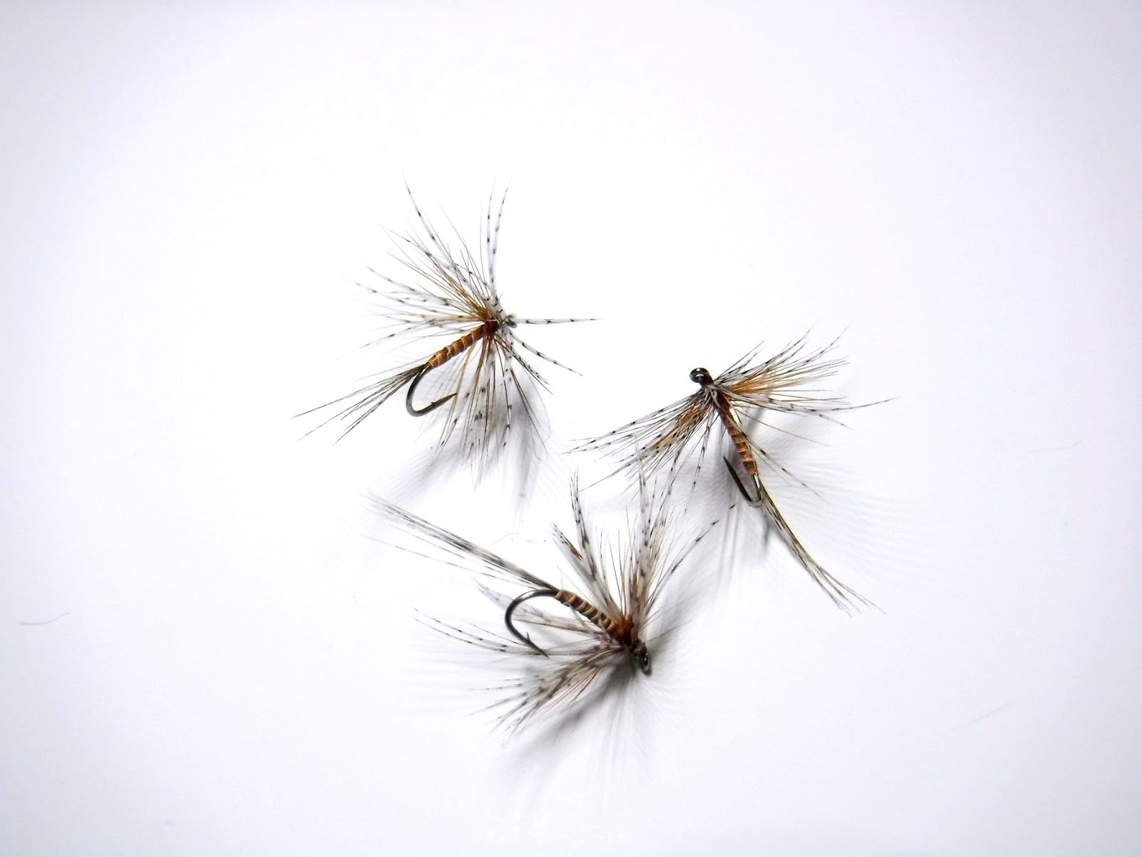 The Flee, Float & Foto: A few for the box