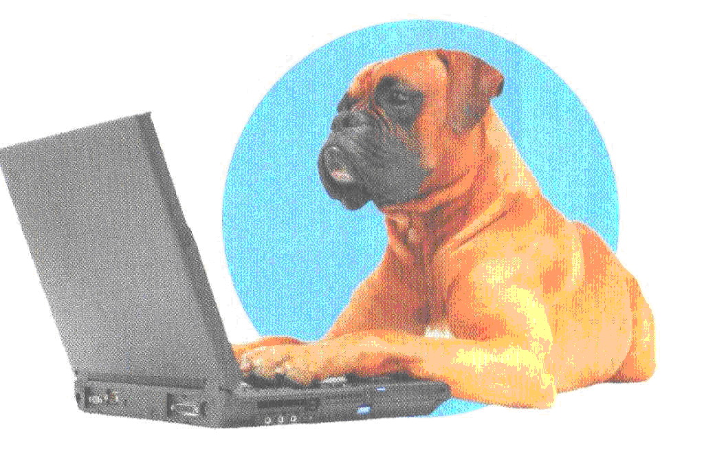 K R U H Y: Populárne druhy psov IV.