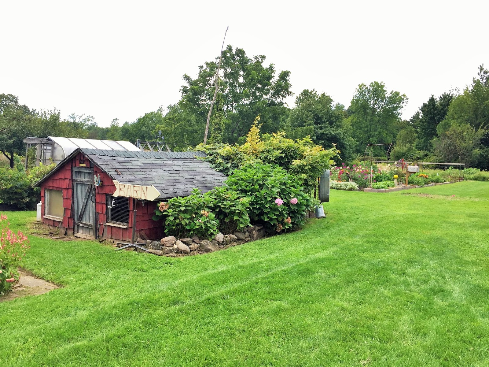 Down the Road: Labor Day Pig Roast at the Farm
