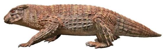 Blog de la Vida Prehistórica: Simosuchus