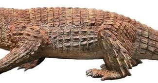 Blog de la Vida Prehistórica: Simosuchus