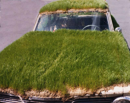 Amazing Grass - Covered Cars ~ Alpin Funny Picture!!
