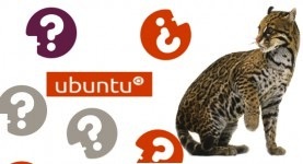 7 Things To Do After Installing Ubuntu 11.10 ‘Oneiric Ocelot’ | Tech Source