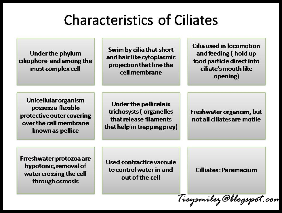 Smiles in My Life: Ciliates