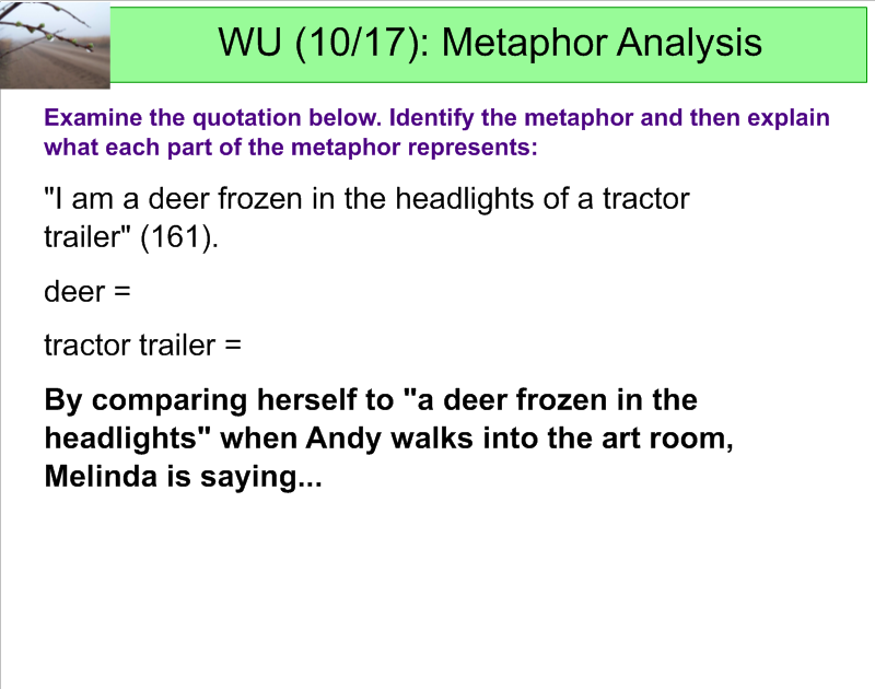 Mr. Staiano's Freshman English Blog: Metaphor Analysis