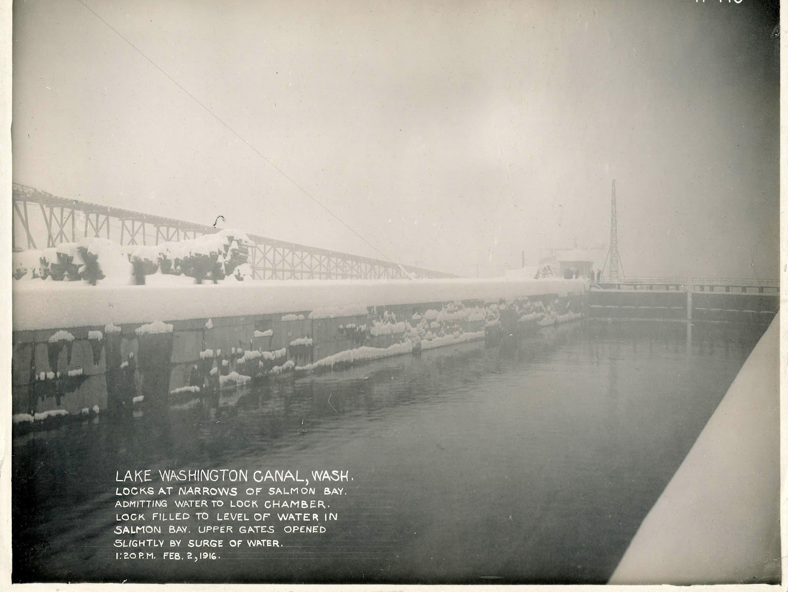 Friends of the Ballard Locks: January 2016