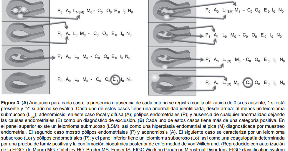 Hablemos de mujeres, hemorragia uterina anormal : Conclusiones