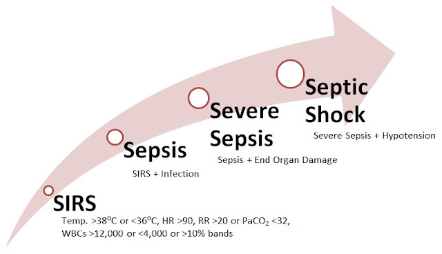 _My Mind speaks as I type_: SIRS-systemic inflammatory response syndrome