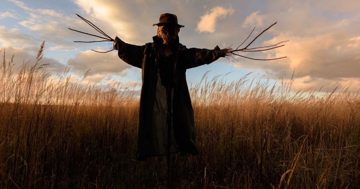 The Other Side blog: Monstrous Mondays: Scarecrow for Dark Places ...