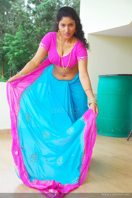 Sexy Actress Gallery South Actress Hot Blouse Navel Wet Pics
