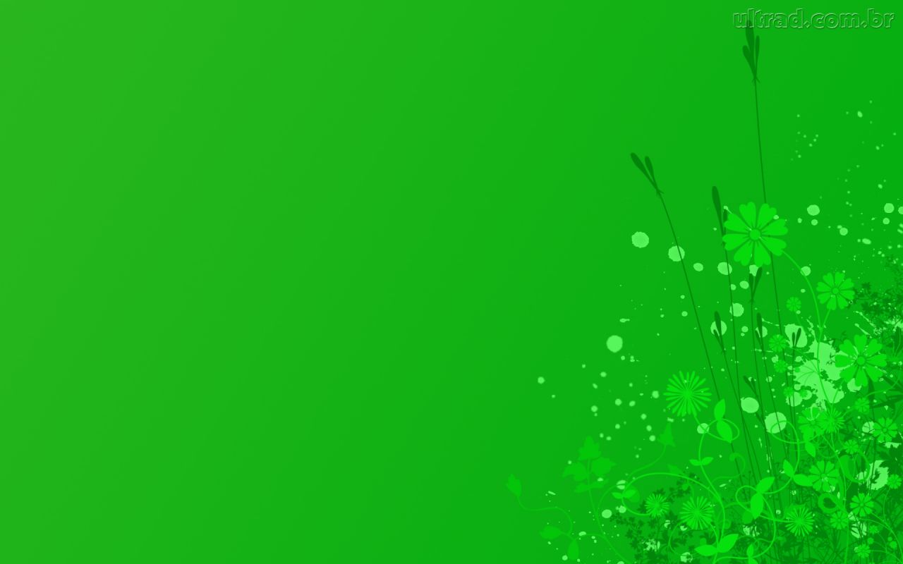Fundos e Molduras para Fotos: Fundos para Fotos Verde