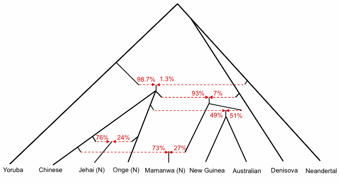 The Genealogical World of Phylogenetic Networks: Admixture graphs ...