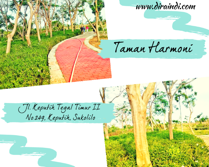 Dira Indi | The Journey of An Ordinary Mom♥: Hutan Bambu dan Taman ...
