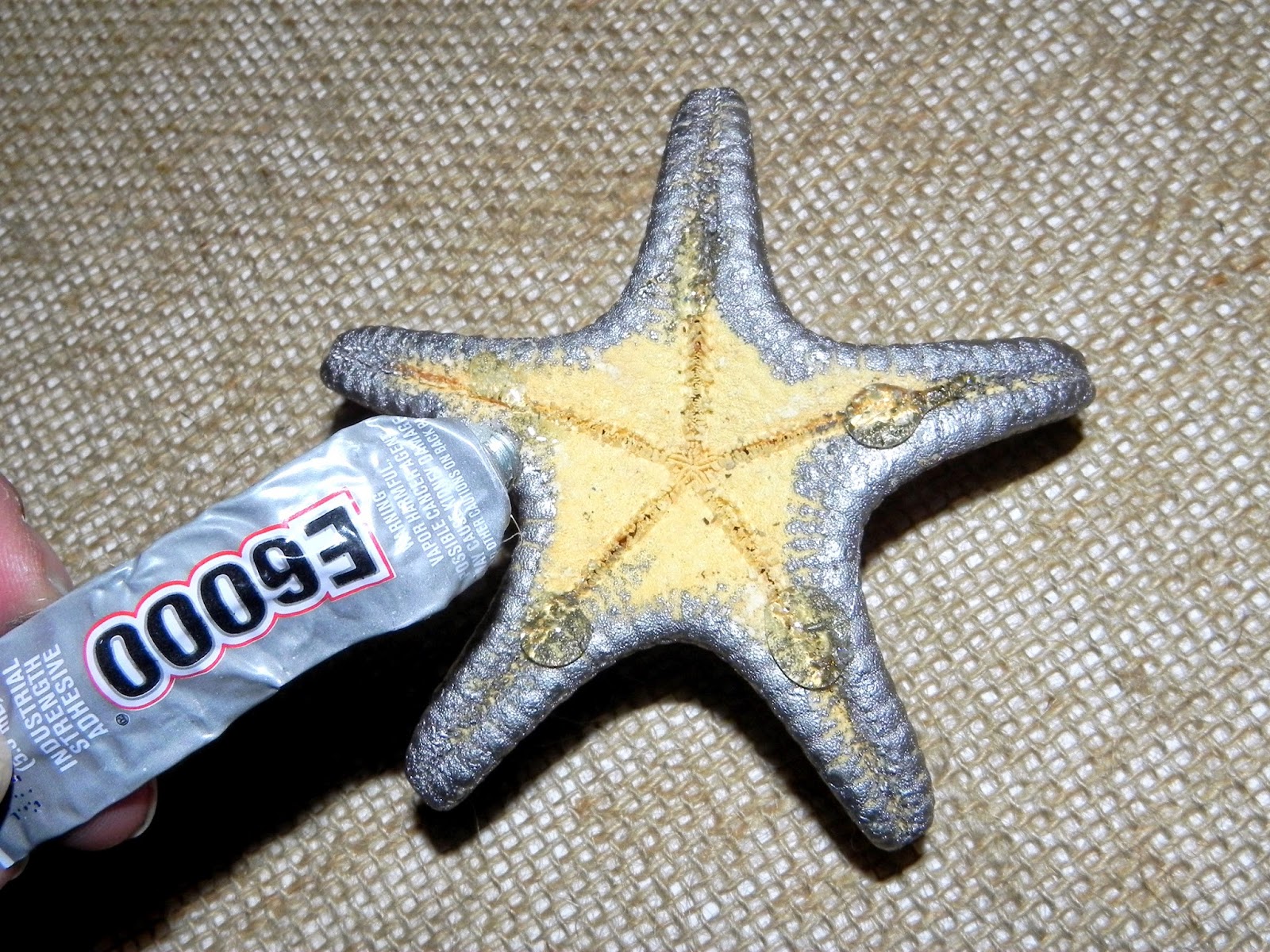 Smart n Snazzy: DIY ~ Gilded Seashell Art