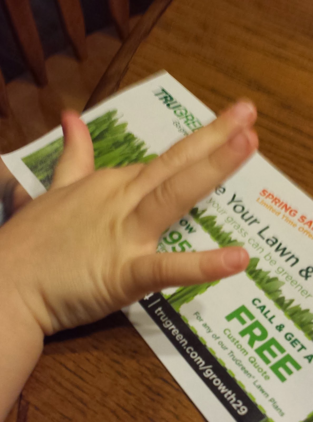 Maggie's Big Home: Alphabetic Principle