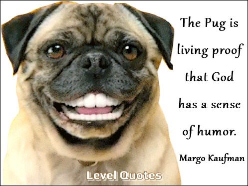 Pug Quotes