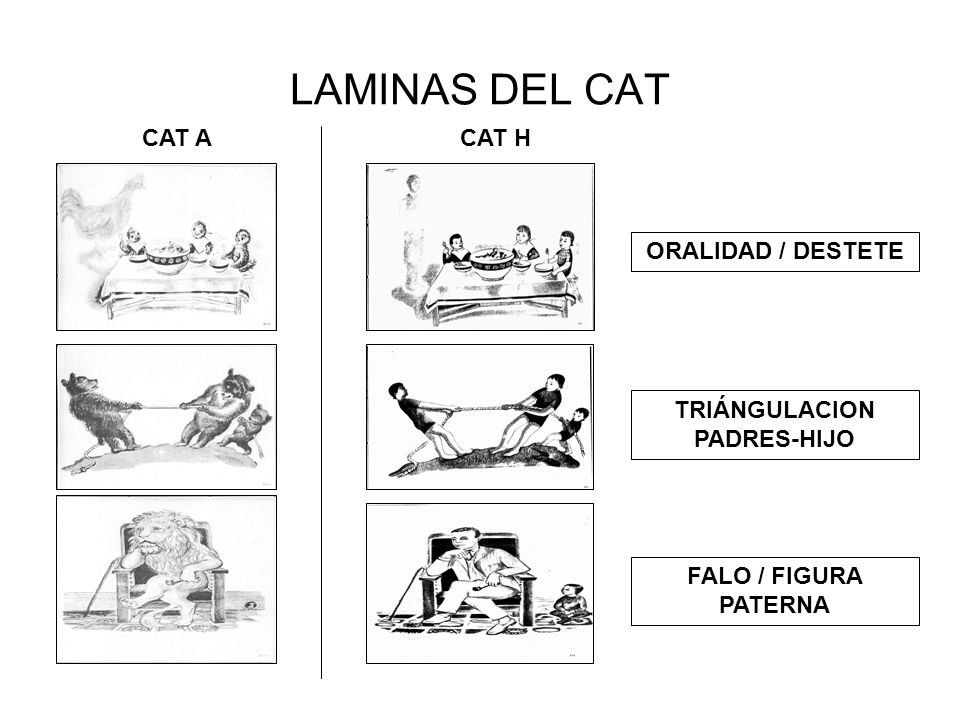Interpretación del CAT-A y CAT-H: Las 10 variables