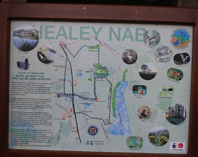 aliwalks : Healey Nab, Chorley