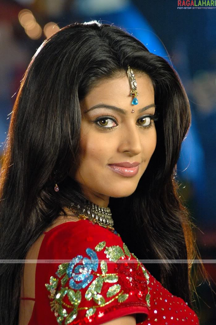 Tamil Actress Sneha - South Indian Actress Model|Telugu Actress|Indian ...