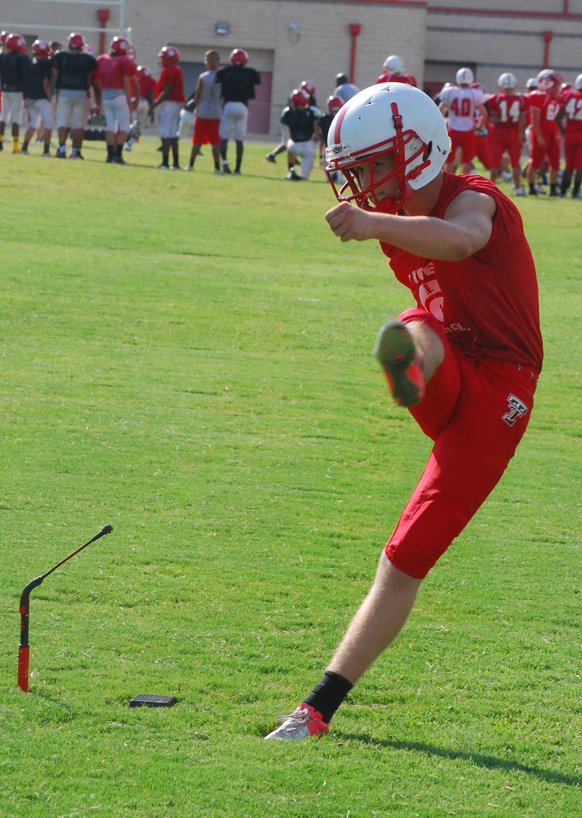 Terrell Daily Photo: Getting a leg up