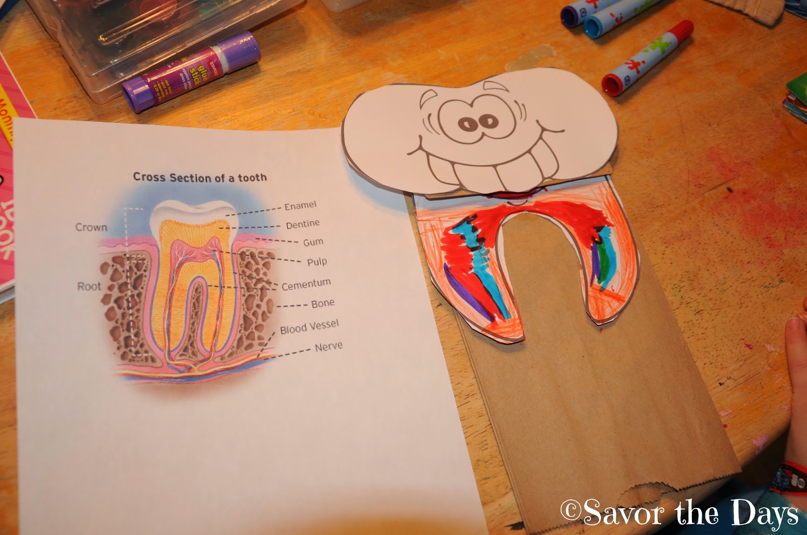 Savor The Days: Teaching Kids about Teeth and Dental Health