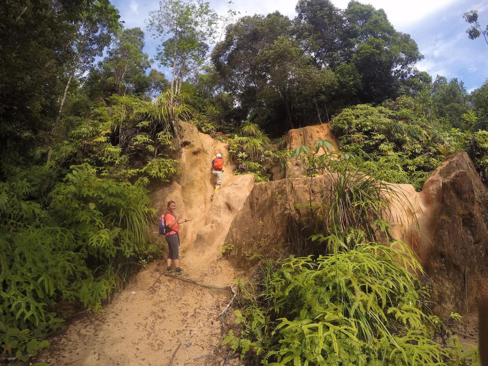 Hiking and Stuff: Gunung Angsi (A trans-hike from Ulu Bendol - Bukit Putus)