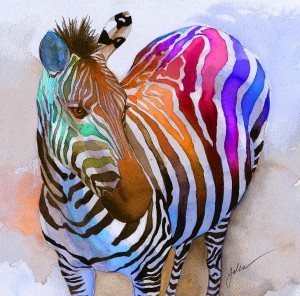 Colorful zebra pictures |Funny Animal