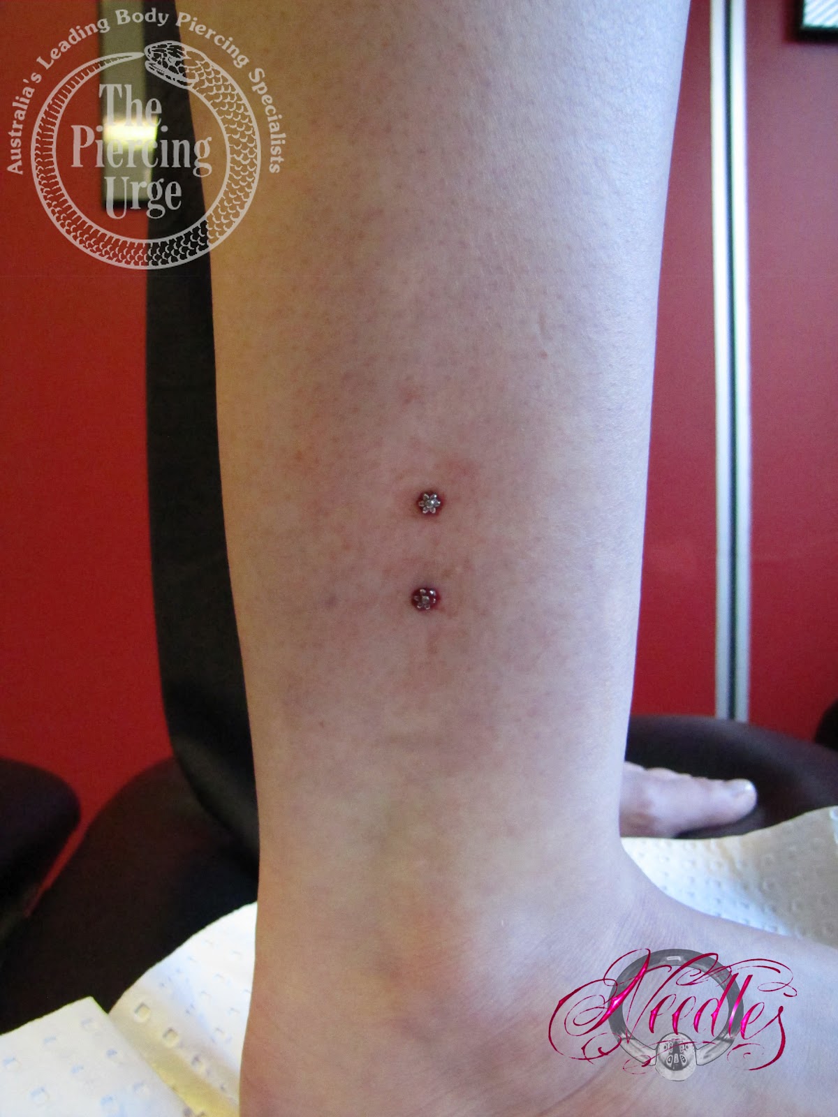 NINE BODY PIERCING BLOG: Sorry for bad pics..