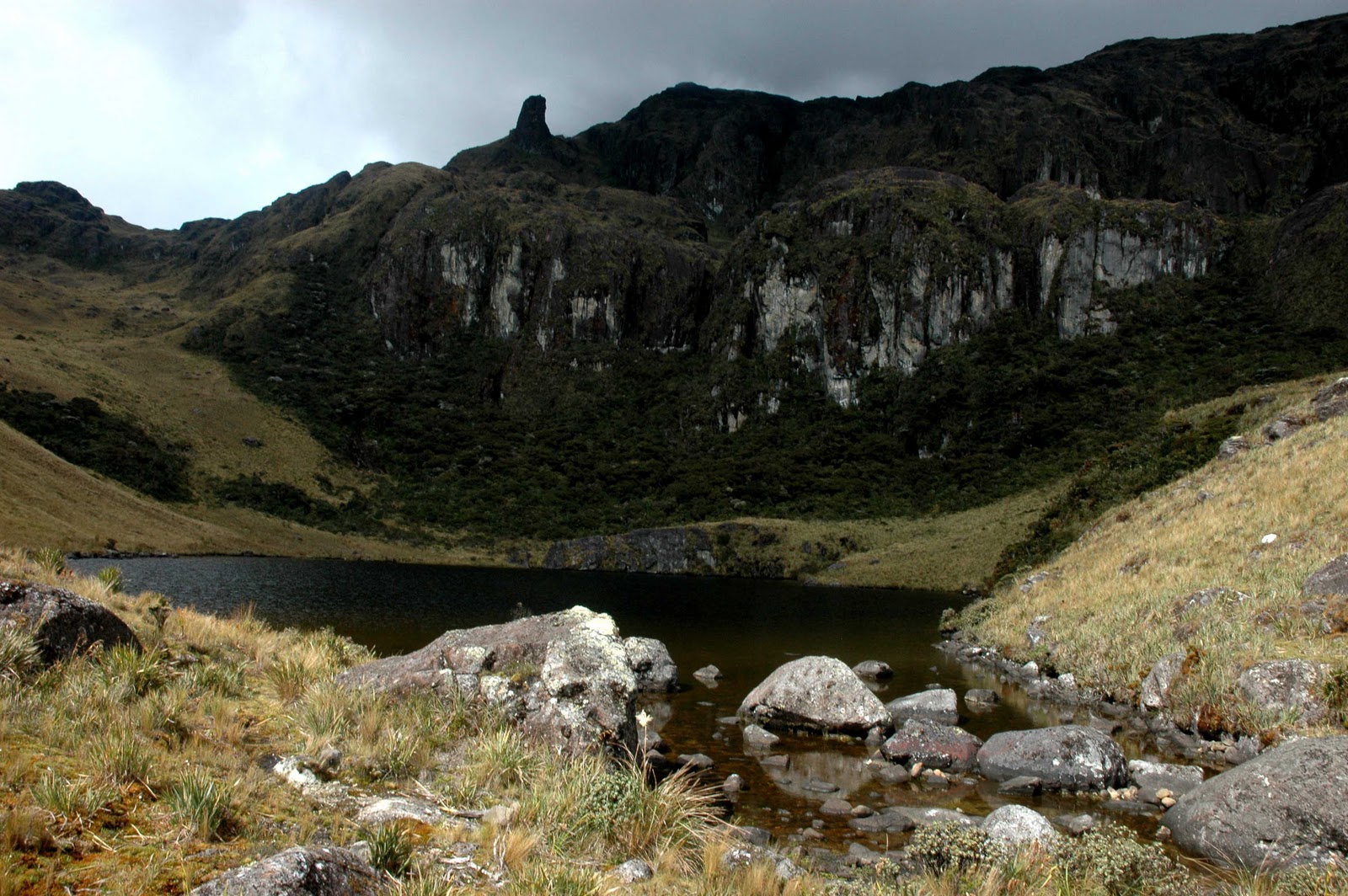 A LOS ORÍGENES: Páramo andino - Perú
