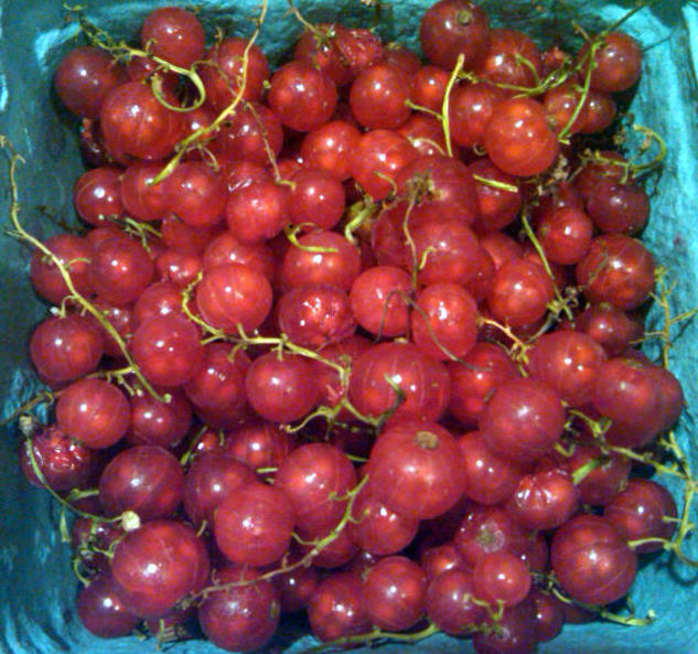 A Cake Bakes in Brooklyn: Red Currant Tea Cake