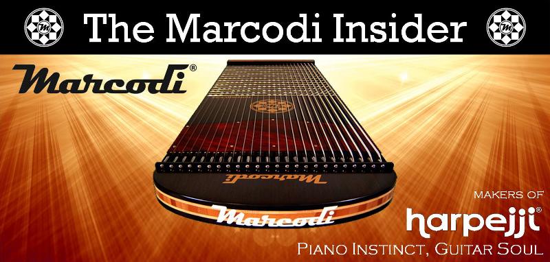 News: Harpejji 24 Strings tapping instrument is featured at NAMM