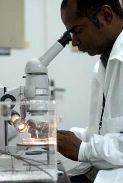 INSTITUTO VITAL BRAZIL TESTA MEDICAMENTO INÉDITO, SORO ANTIAPÍLICO ~ RM ...