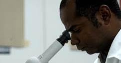 INSTITUTO VITAL BRAZIL TESTA MEDICAMENTO INÉDITO, SORO ANTIAPÍLICO ~ RM ...