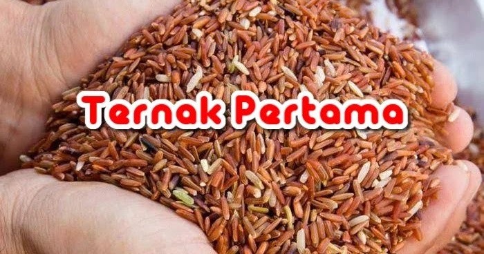 Harga Beras Merah Hari Ini 2021