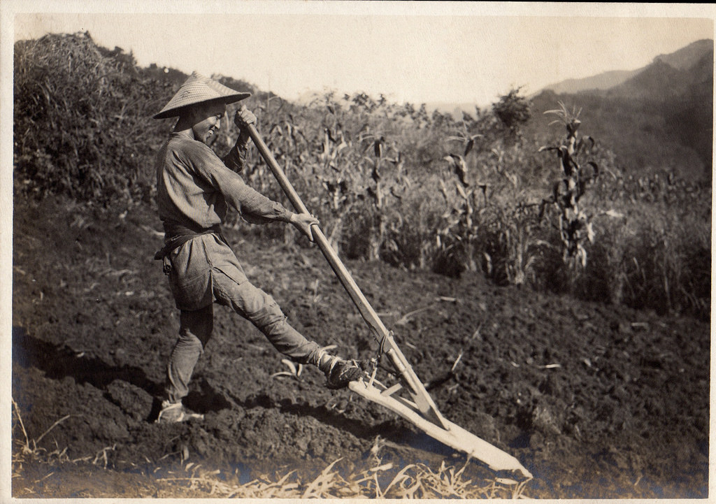 Rarely-Seen Pictures Show the Farm Work in Japan over 100 Years Ago ...