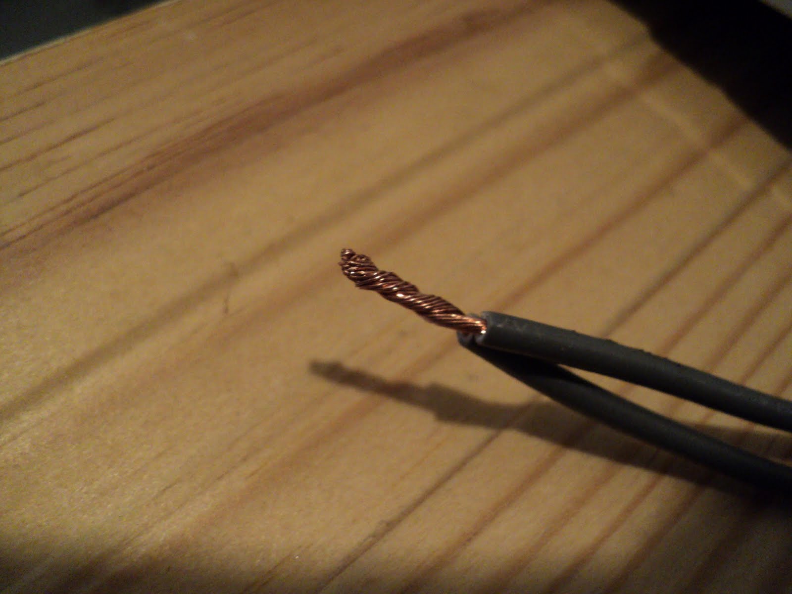 Rouge River Workshop: May 2011