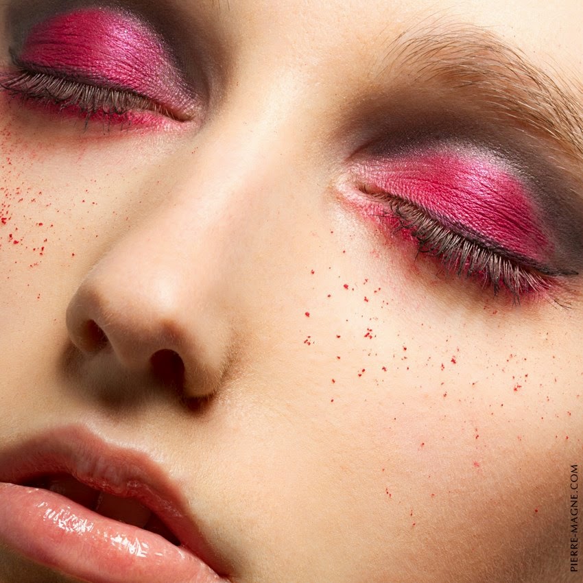 French Vocabulary Illustrated: fard