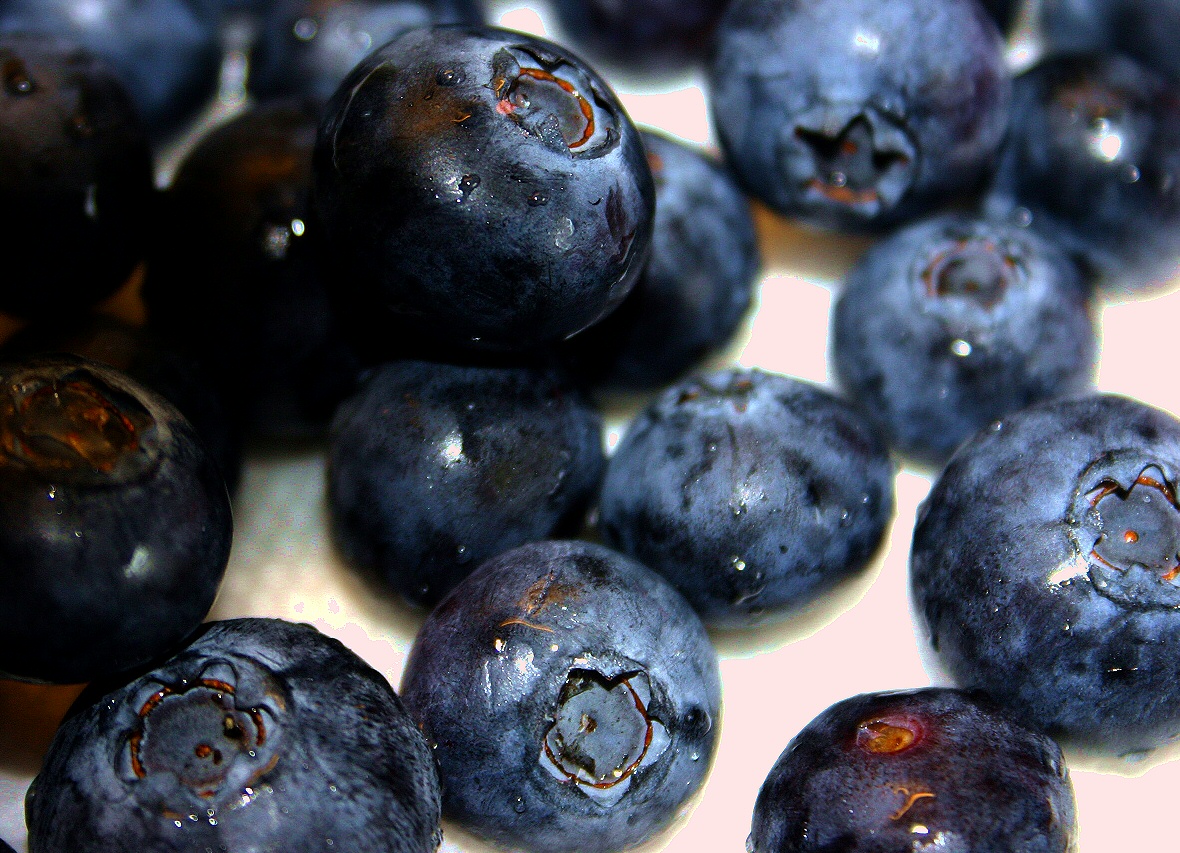 Sandy's Quilter's Block: Blueberry...my favorite
