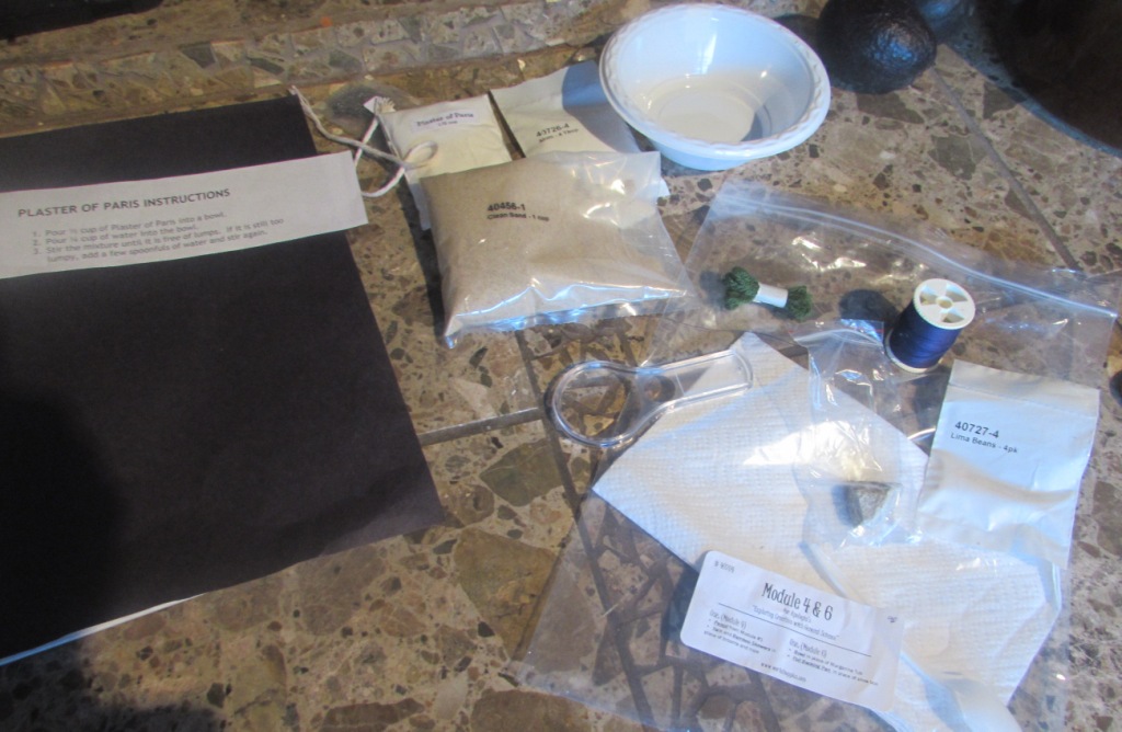 Fleur de Lis Homeschool Blog: Apologia General Science Experiment 6.1